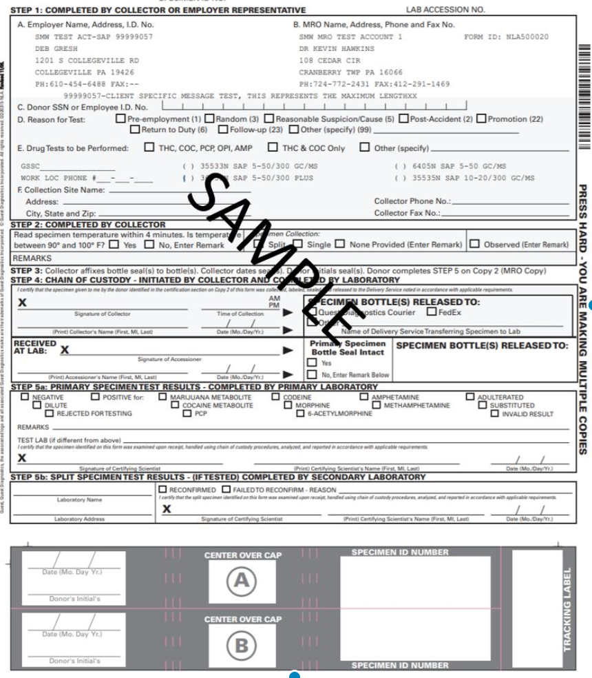 Pre Employment Drug Screening Chain Of Custody Drug Test Overview